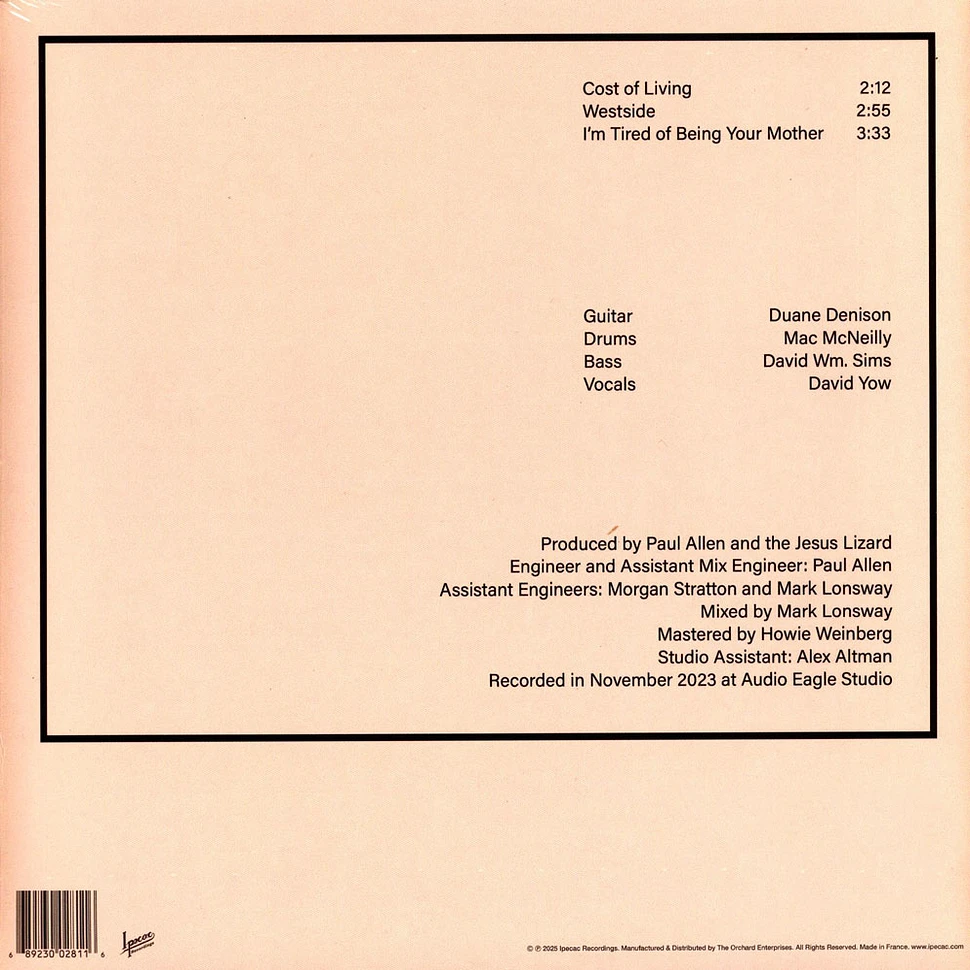 The Jesus Lizard - Flux Record Store Day 2025 Vinyl Edition - Vinyl 12 ...