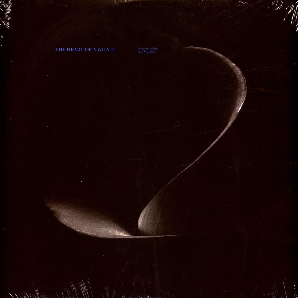 Dana Schechter & Paul Wallfisch - The Heart Of A Whale - Vinyl LP ...