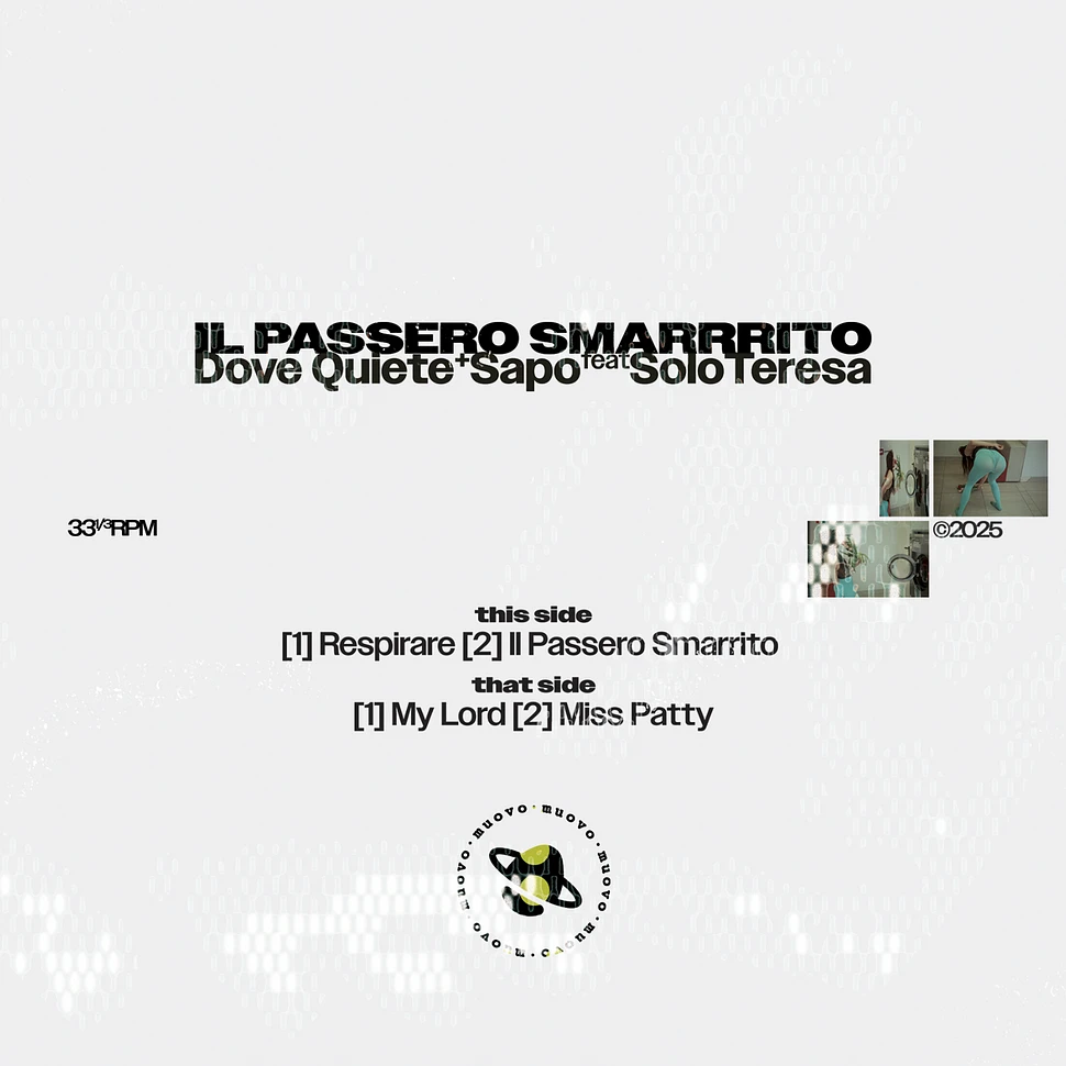 V.A. - Il Passero Smarrito EP - Vinyl 12" - 2025 - EU - Original | HHV