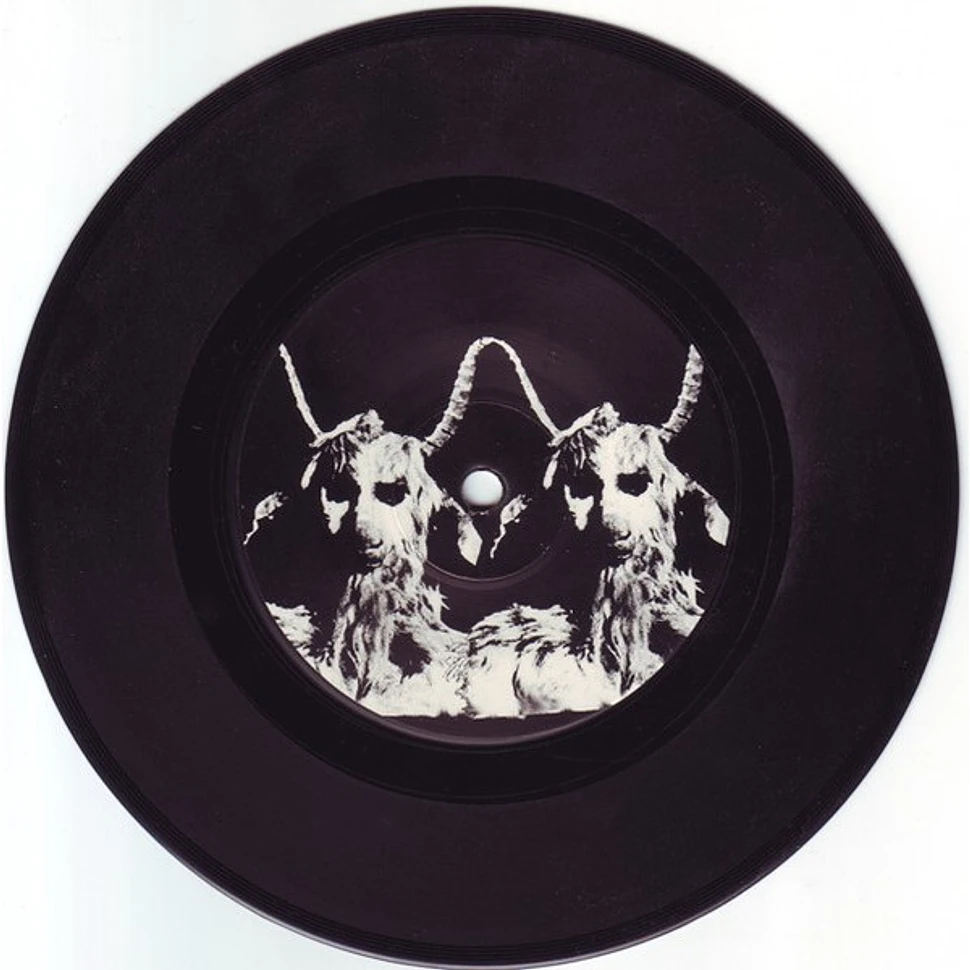 Cursed - Hell Comes Home b/w Search & Destroy - Vinyl 7" - 2004 - US ...