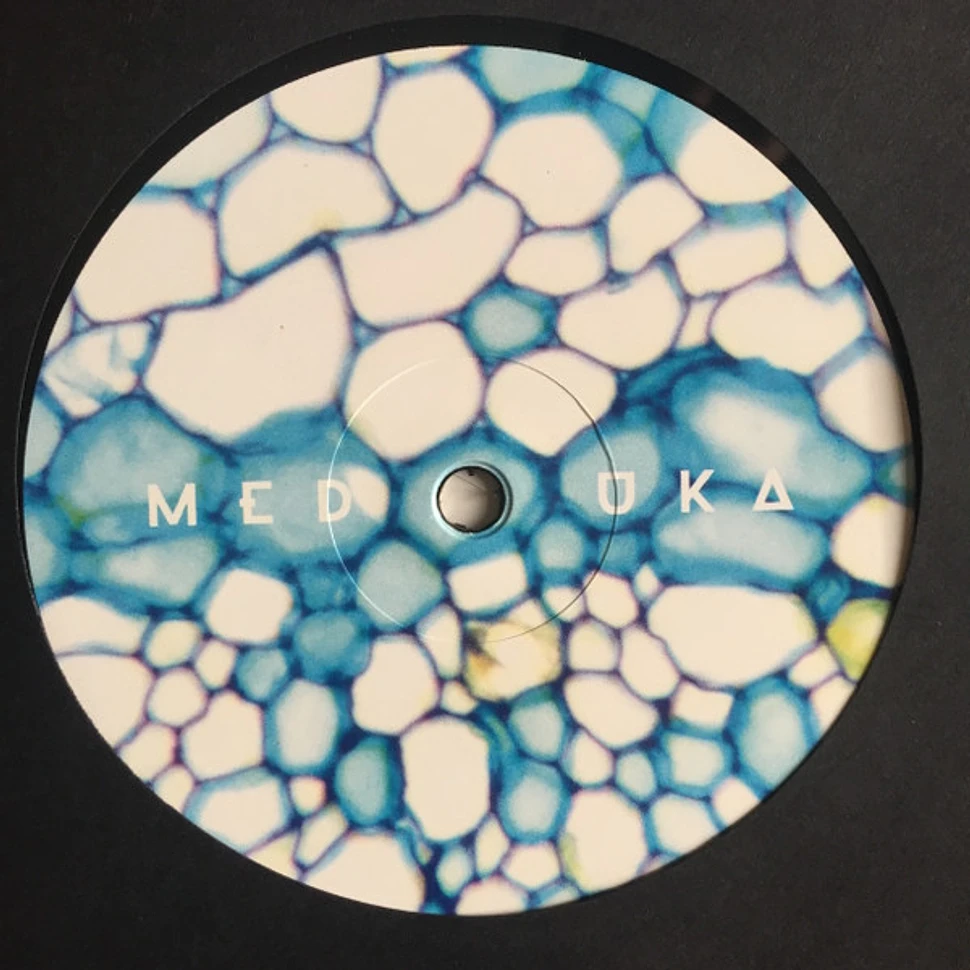 Paul Walter , Felix Rupprecht - Chitlin Circuits Ep - Vinyl 12" - 2015 ...