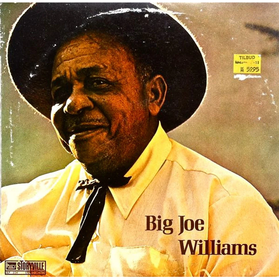 Big Joe Williams - Big Joe Williams - Vinyl LP - 1972 - DK - Original | HHV